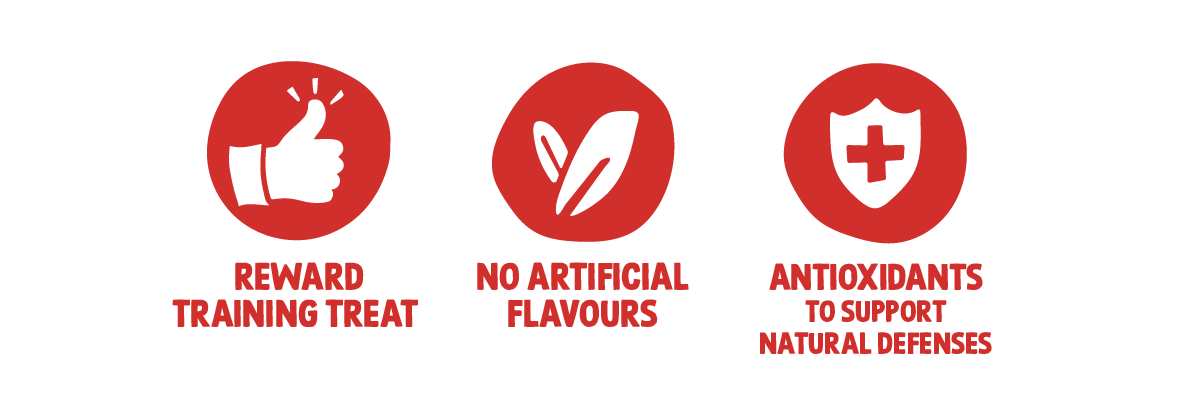 CHEESY NIBBLES CHEESE & BEEF | Dog Treats | SCHMACKOS™