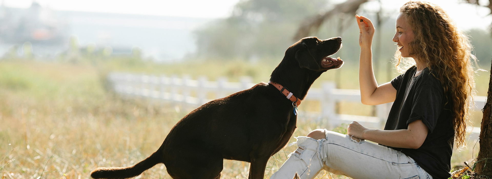 Mental Stimulation Tips For Dogs | SCHMACKOS